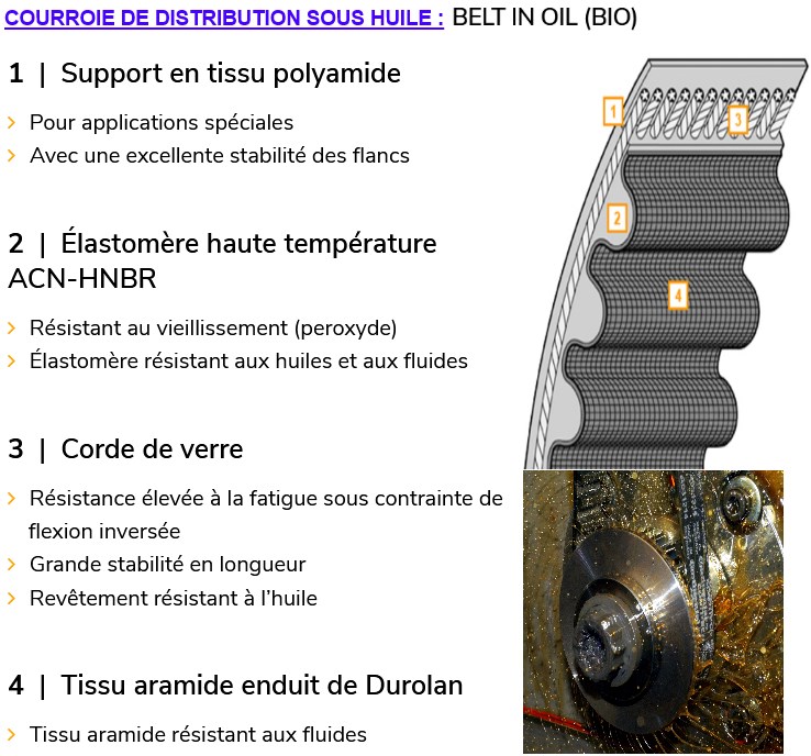 LES COURROIES D'ACCESSOIRES ET DE DISTRIBUTION